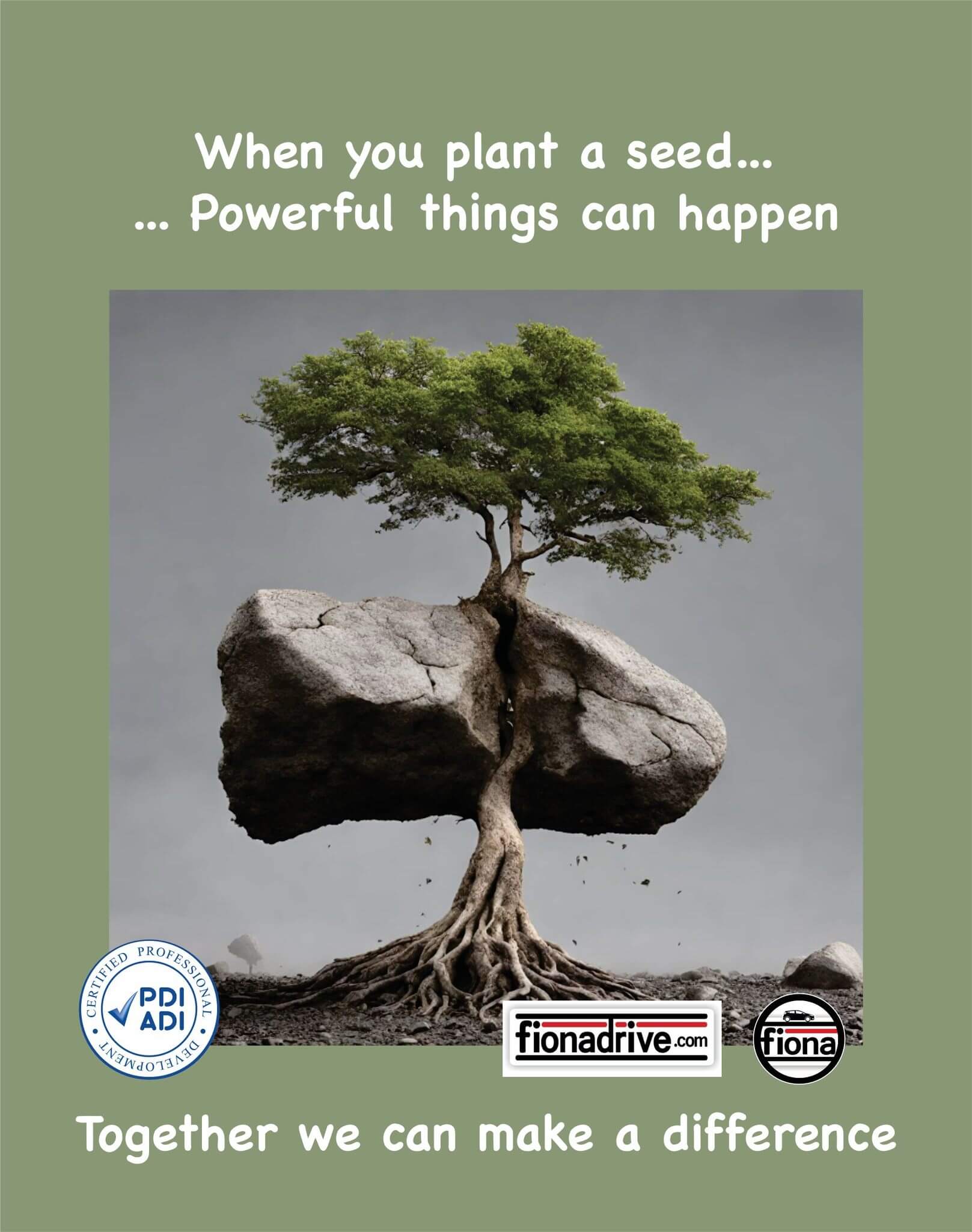 Fiona Taylor - But together we can sow powerful seeds…. - PDIADI ...